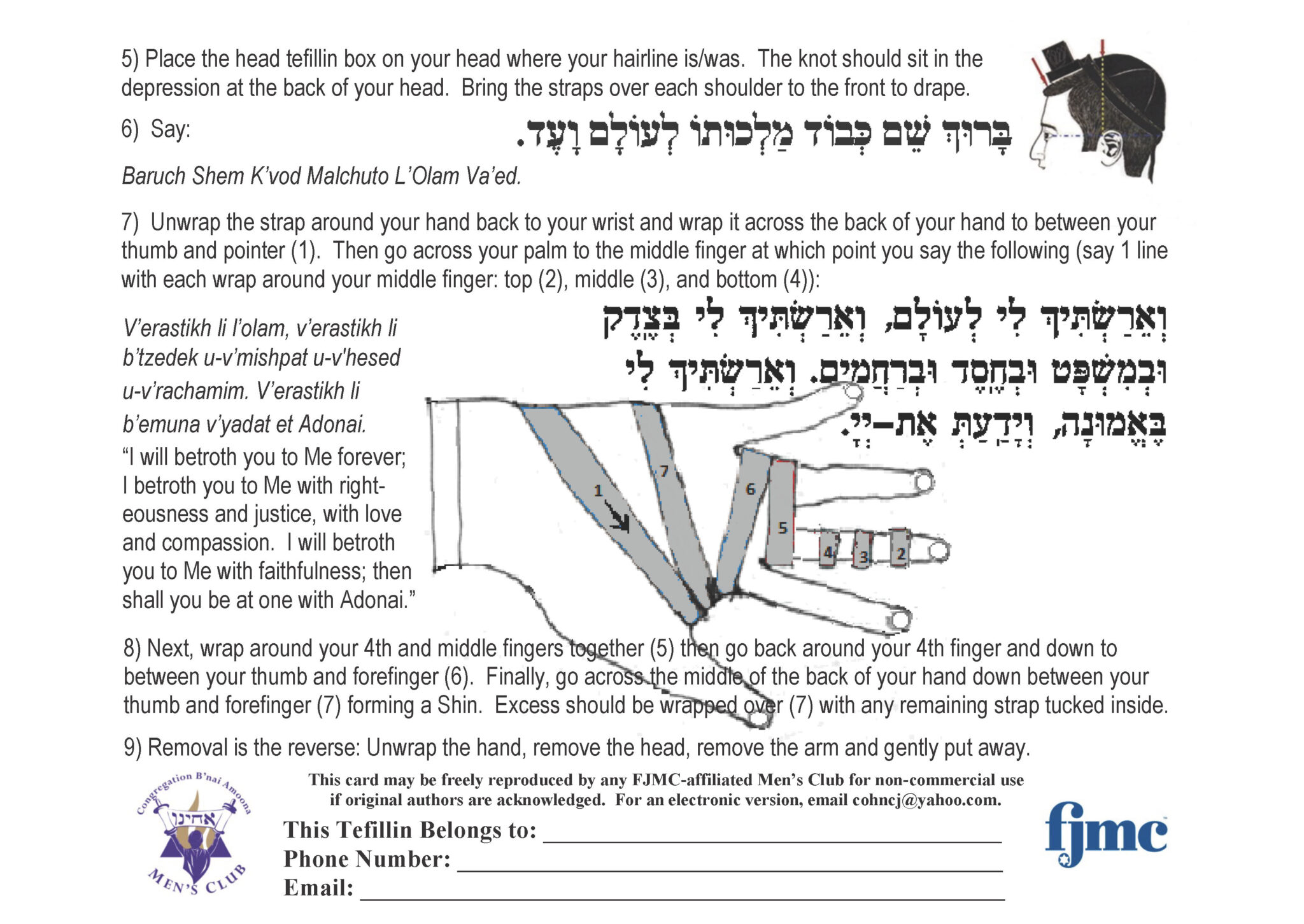 Guide to Wrapping Tefillin (Card) - FJMC World Wide Wrap